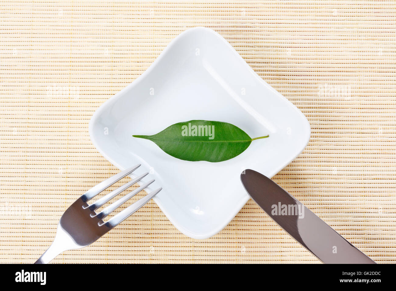 Leaf model design project hi-res stock photography and images - Alamy