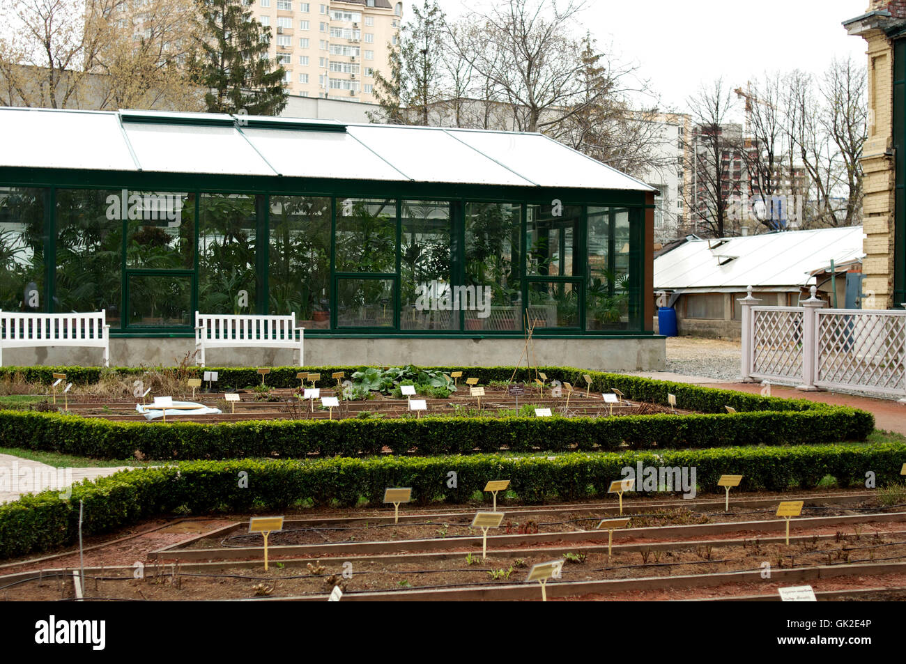 Greenhouse with glass windows in spring Stock Photo - Alamy