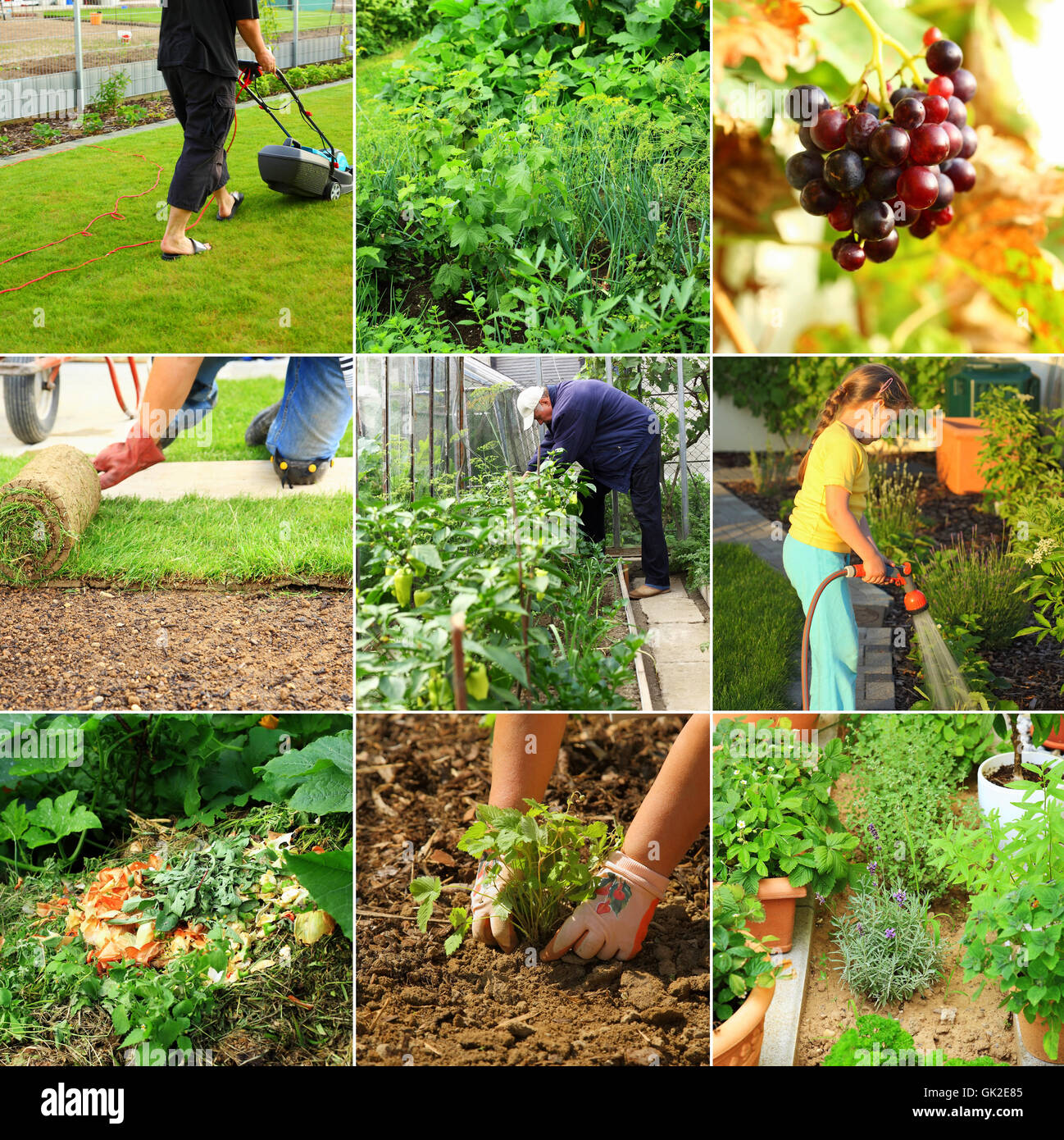 environment enviroment agriculture Stock Photo - Alamy