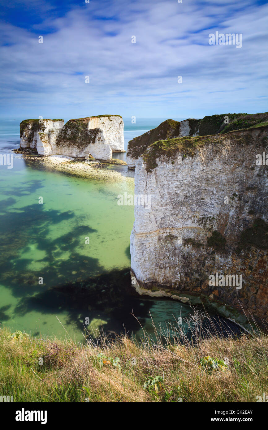 Old Harry Rocks on Dorset Jurassic Coast Stock Photo - Alamy