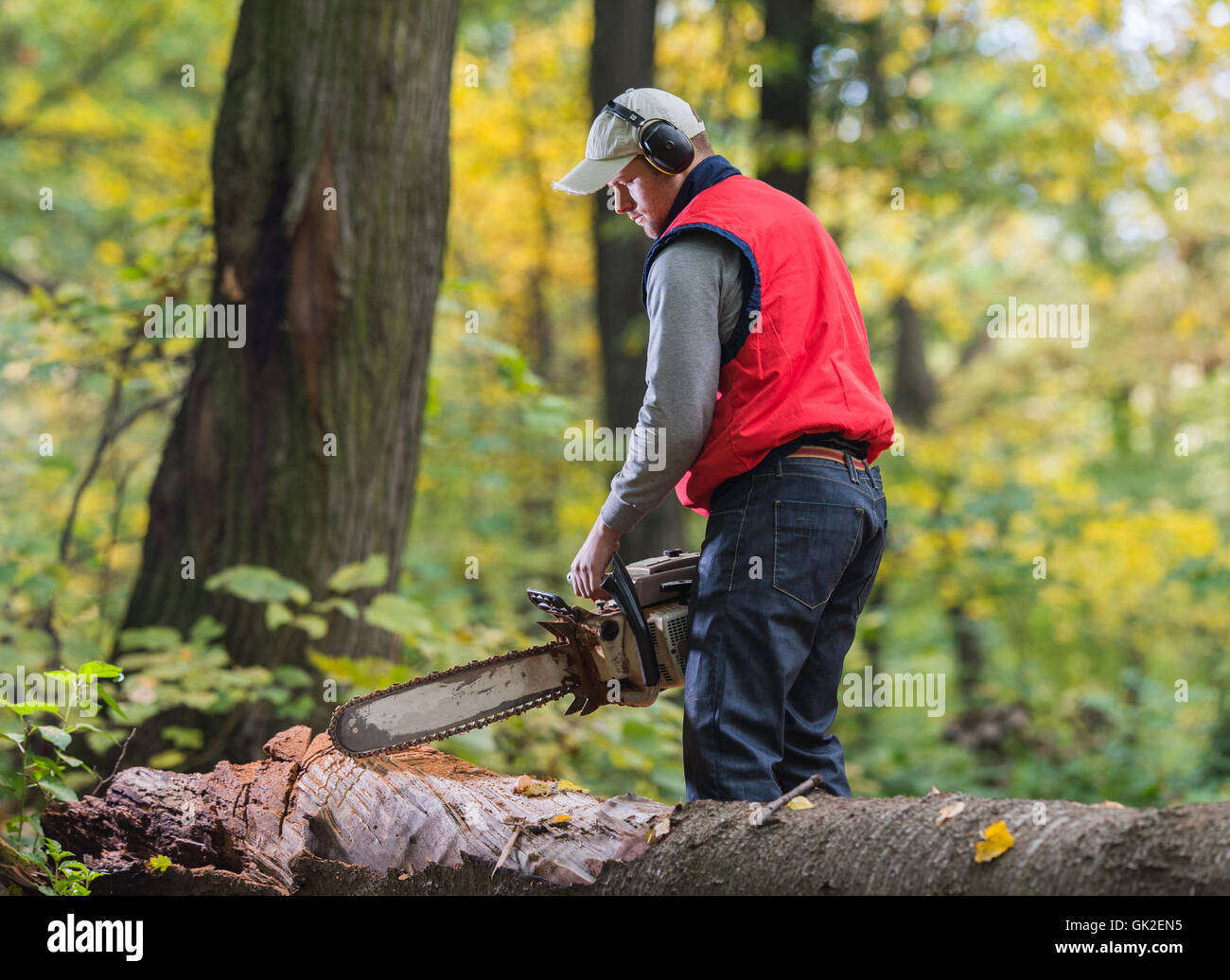 Man cutting a branch with chainsaw Stock Photo - Alamy