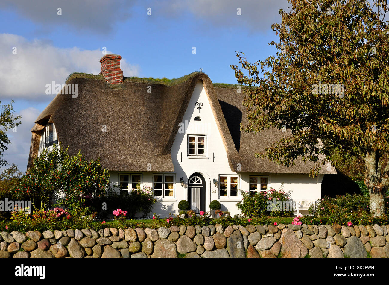 house building home Stock Photo - Alamy