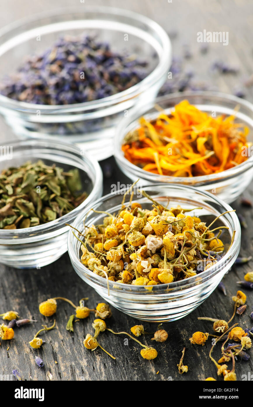 buds alternative herbs Stock Photo - Alamy