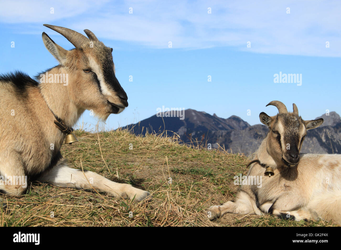 Mountains mountain alp alps hi-res stock photography and images - Alamy