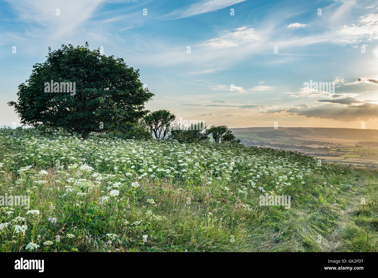 Beautiful sunset landscape image over English rolling countryside Stock ...