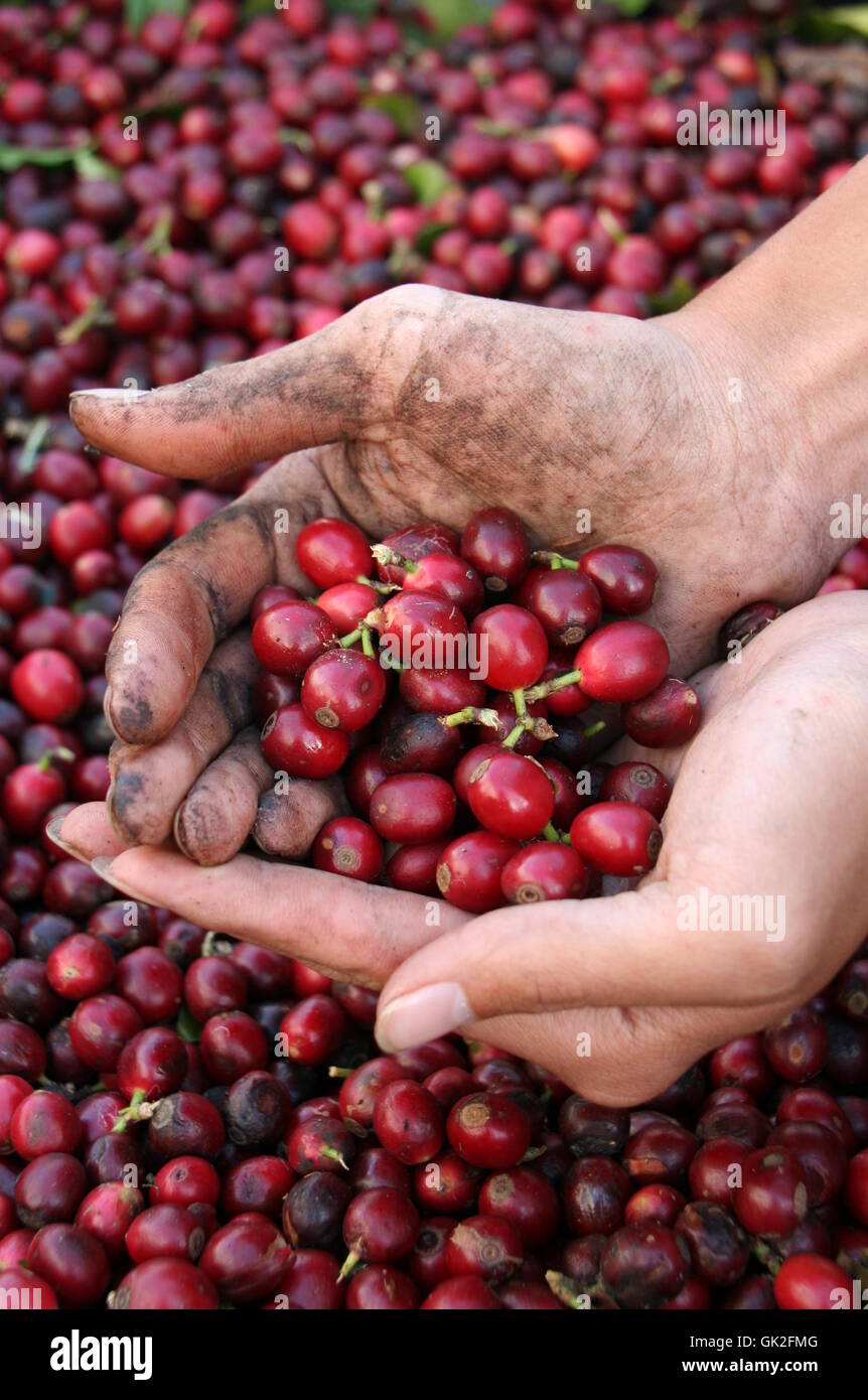 Handpicked hi-res stock photography and images - Alamy