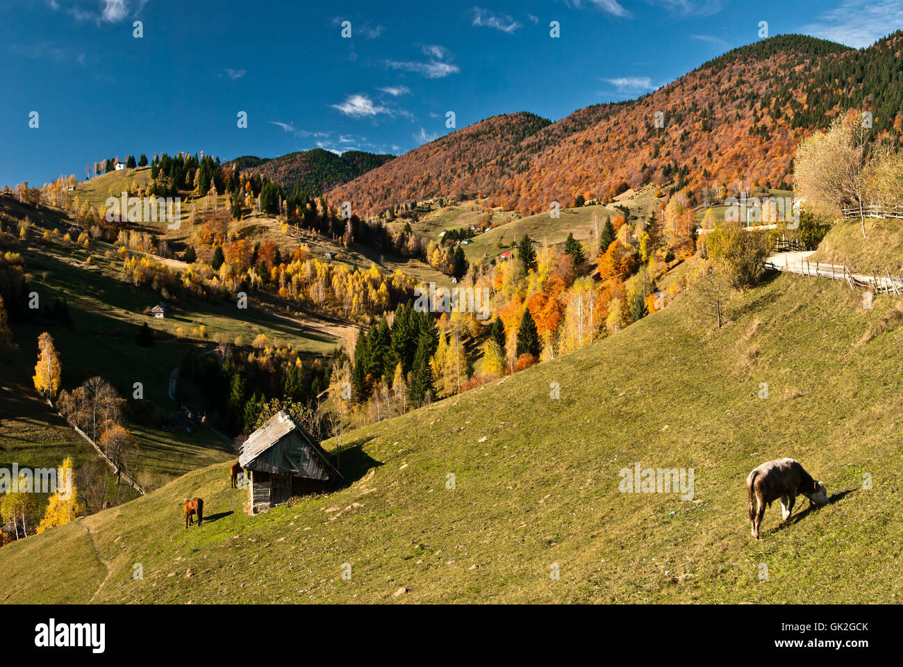 october landscape scenery Stock Photo - Alamy