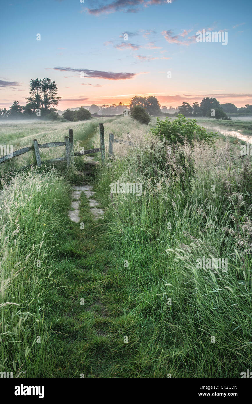 Sunrise countryside summer england hi-res stock photography and images ...