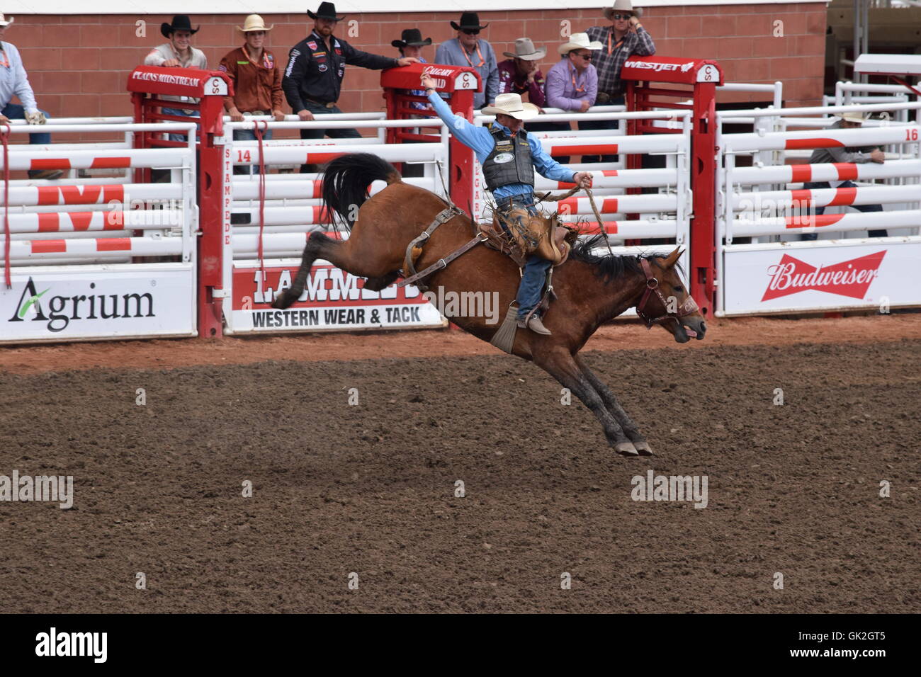 Horse Back Riding Stock Photo - Alamy