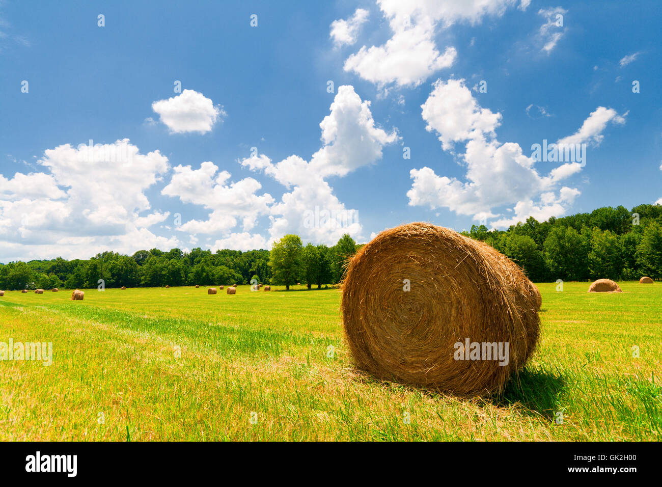 Indiana farming agriculture hi-res stock photography and images - Alamy