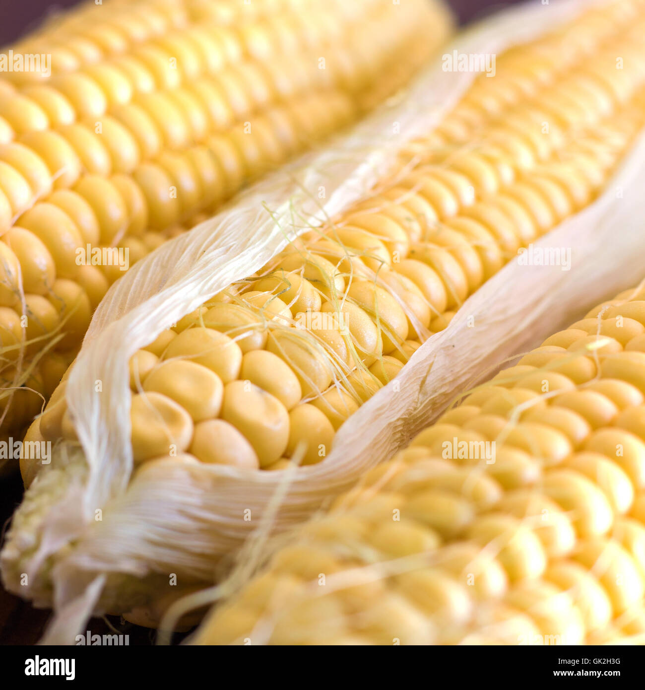 Cob maize hi-res stock photography and images - Alamy