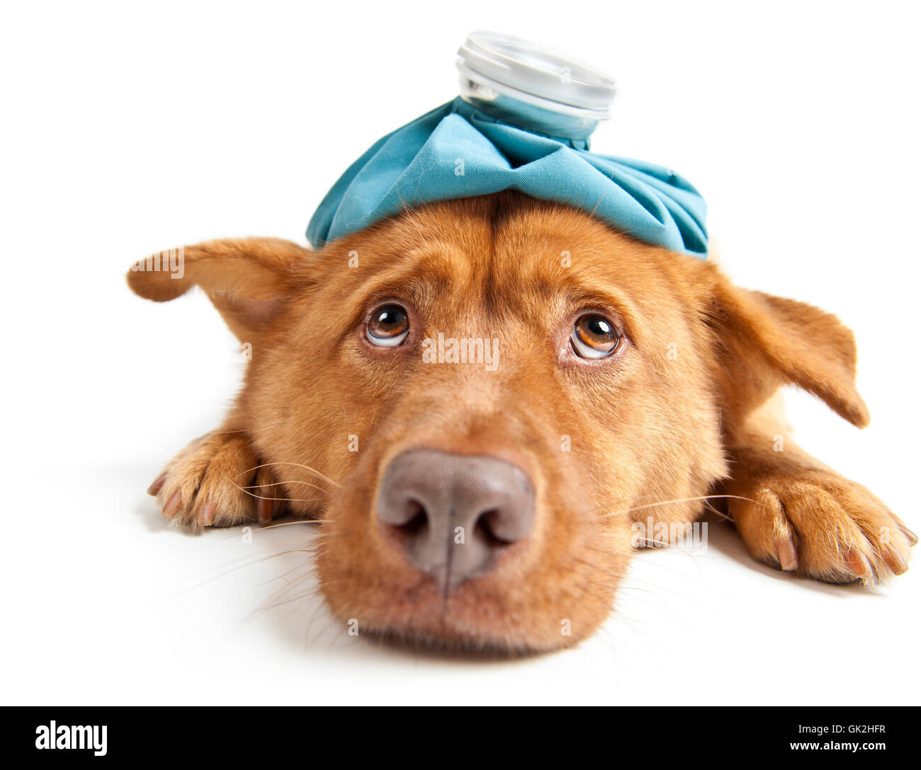 Sick season Cut Out Stock Images & Pictures - Alamy