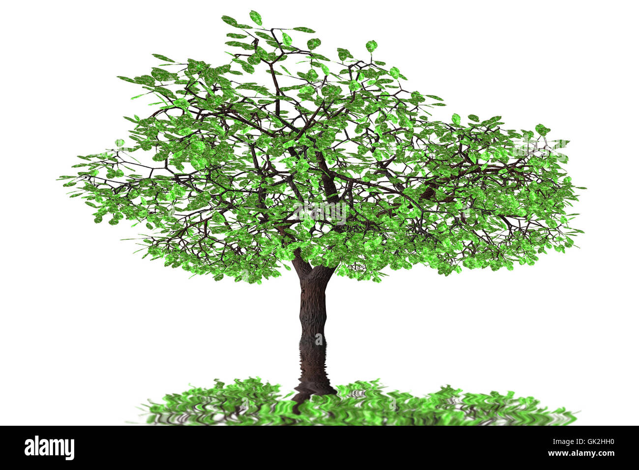 tree green spring Stock Photo - Alamy