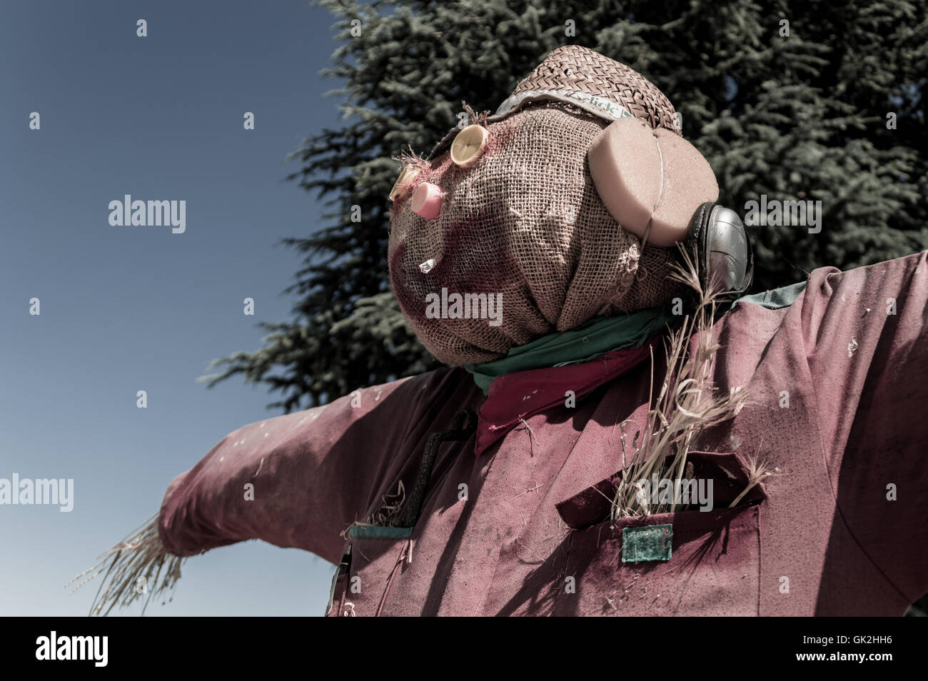 Unique scarecrow hi-res stock photography and images - Alamy