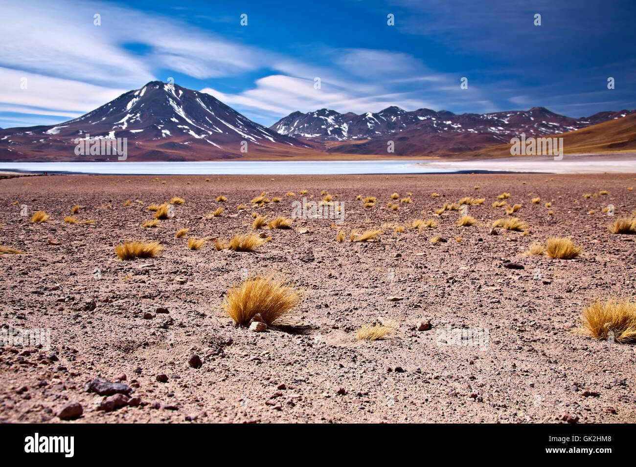 desert wasteland vegetation Stock Photo - Alamy