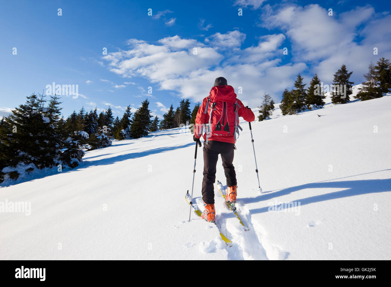 Rear view skier skiing hi-res stock photography and images - Alamy