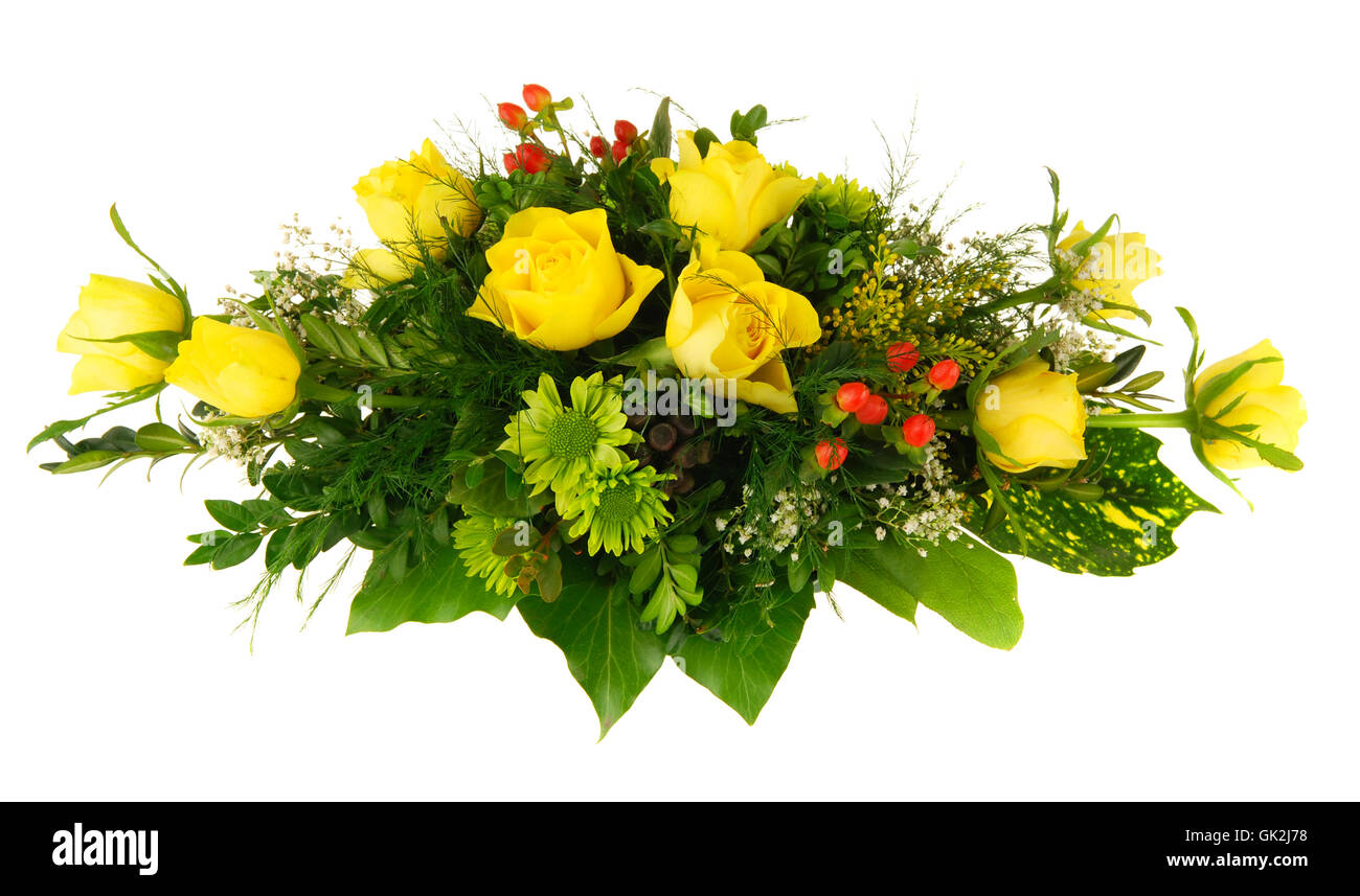 Detailed plant pattern Cut Out Stock Images & Pictures - Alamy