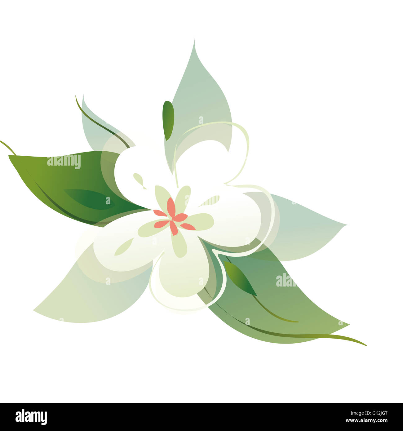 Natural look flowers Cut Out Stock Images & Pictures - Alamy