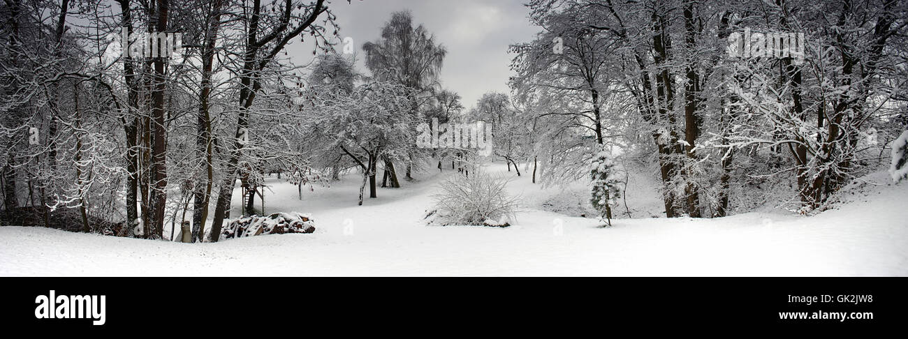 Tree alee hi-res stock photography and images - Alamy