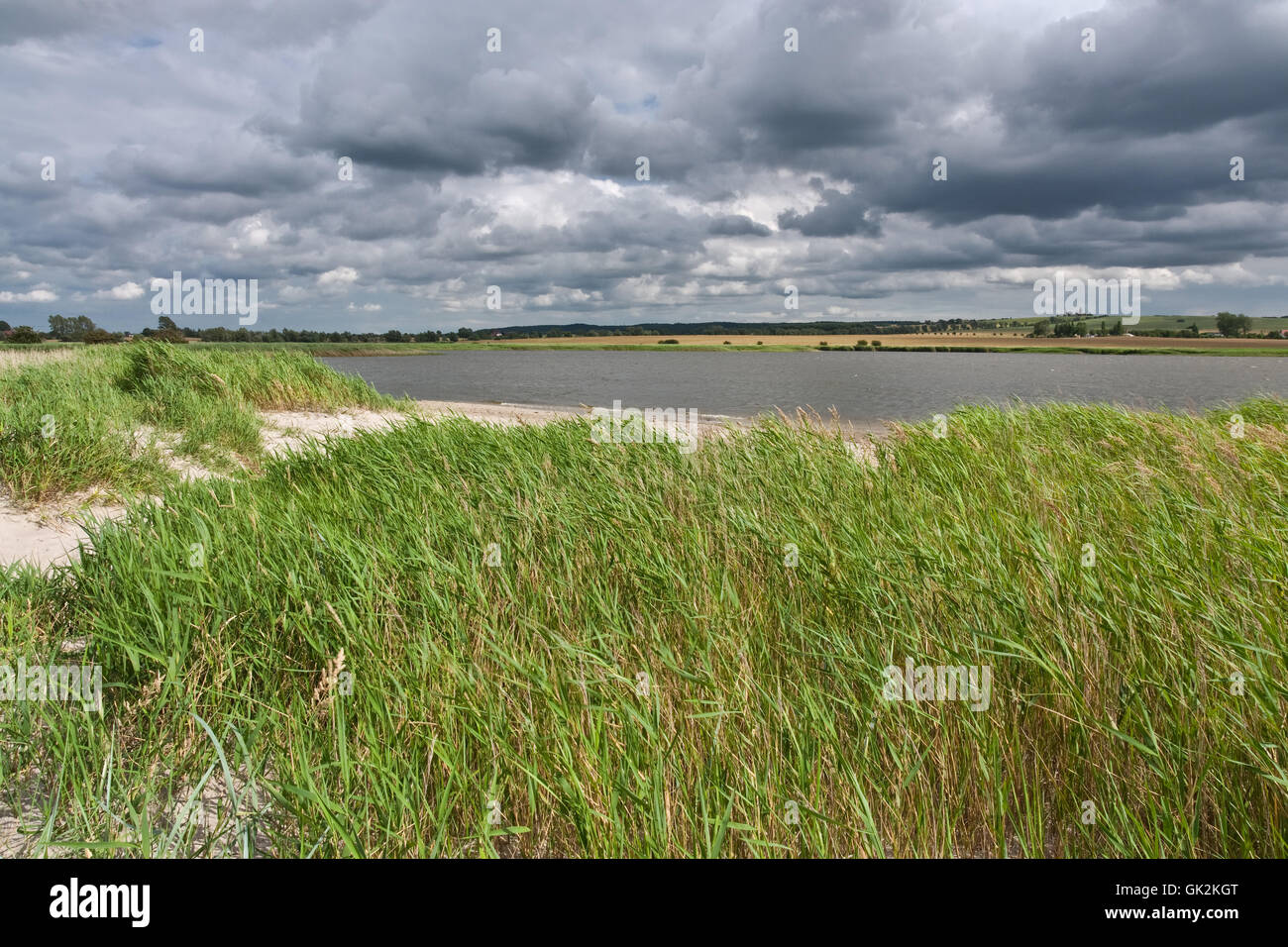 conservation of nature beach seaside Stock Photo - Alamy