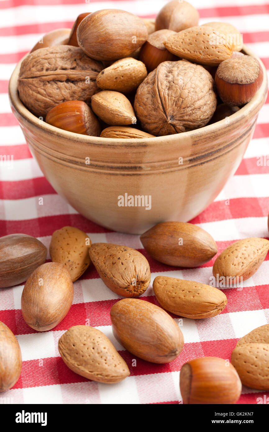 Hard thick shell hi-res stock photography and images - Alamy