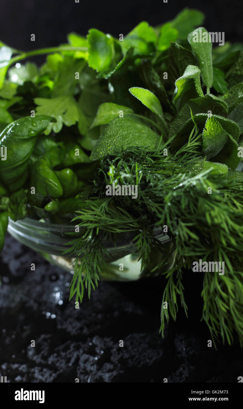sage basil culinary herbs Stock Photo - Alamy