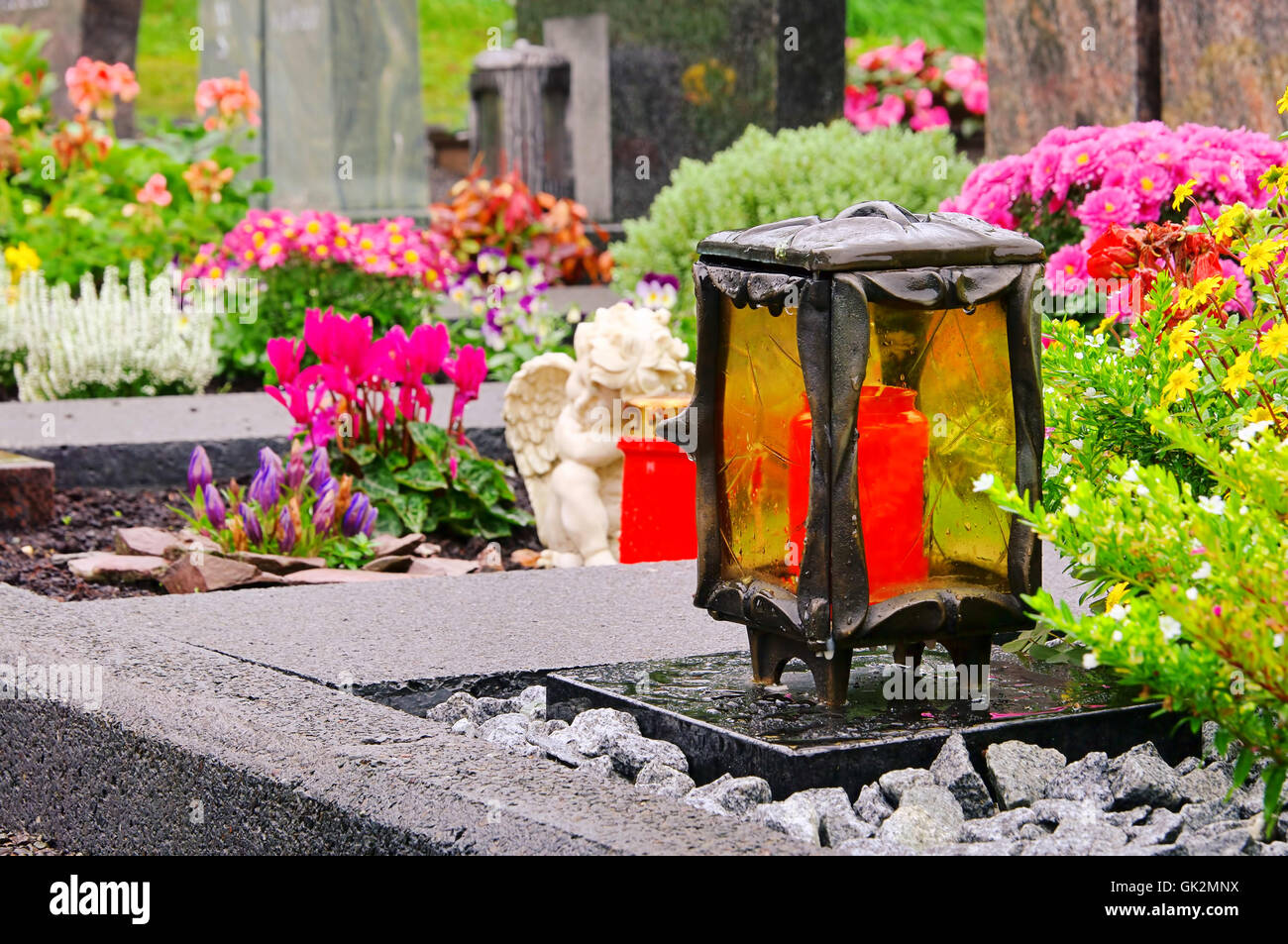 Death of plant hi-res stock photography and images - Alamy