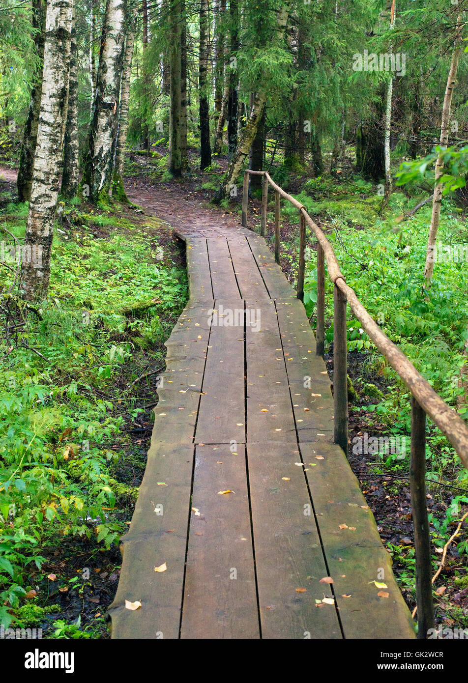 Old wooden pathway in the forest Stock Photo - Alamy