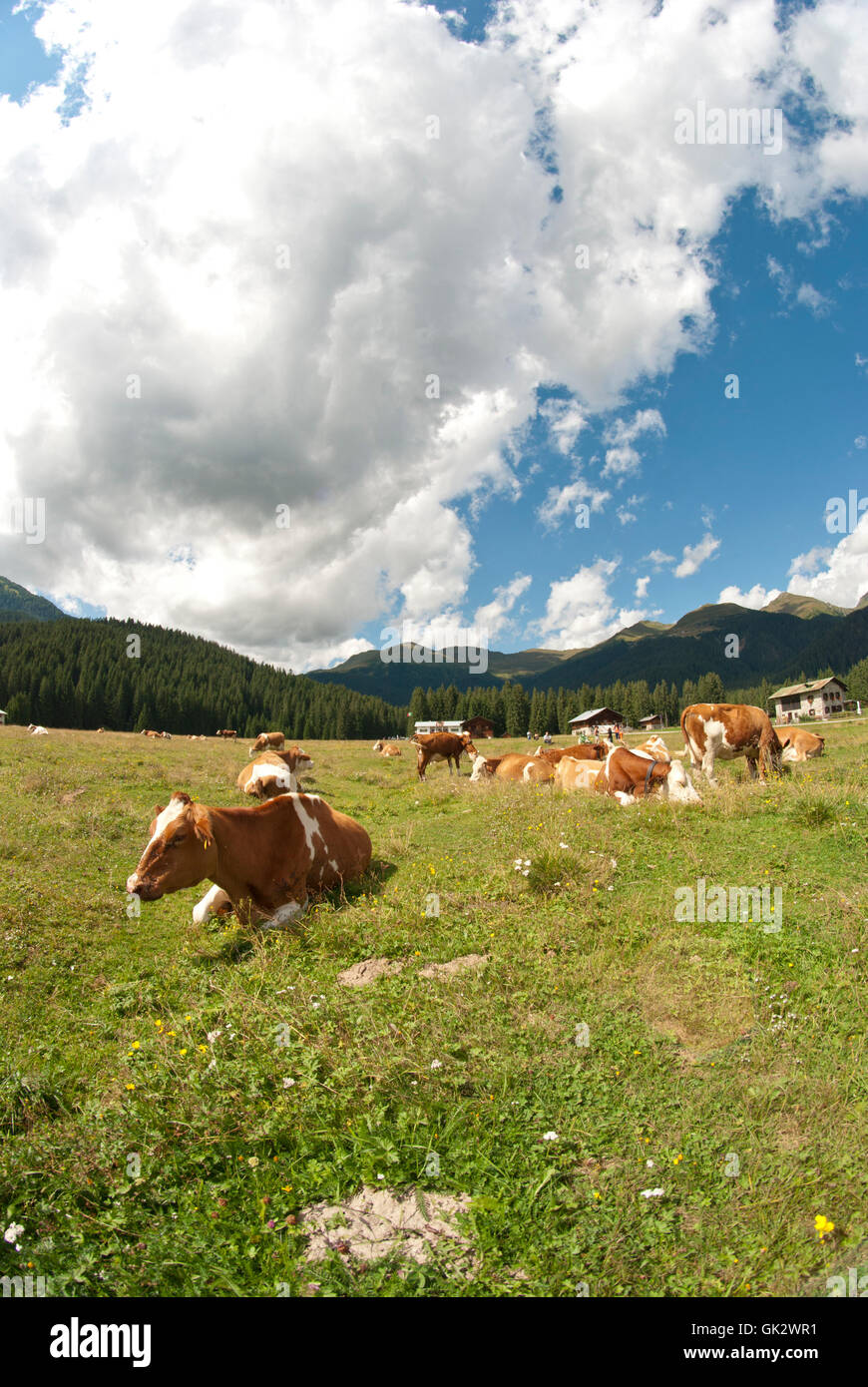 blue alps alpine Stock Photo - Alamy