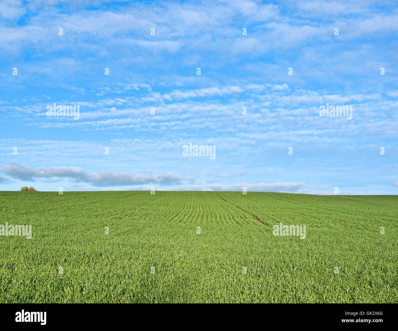 agriculture farming field Stock Photo - Alamy