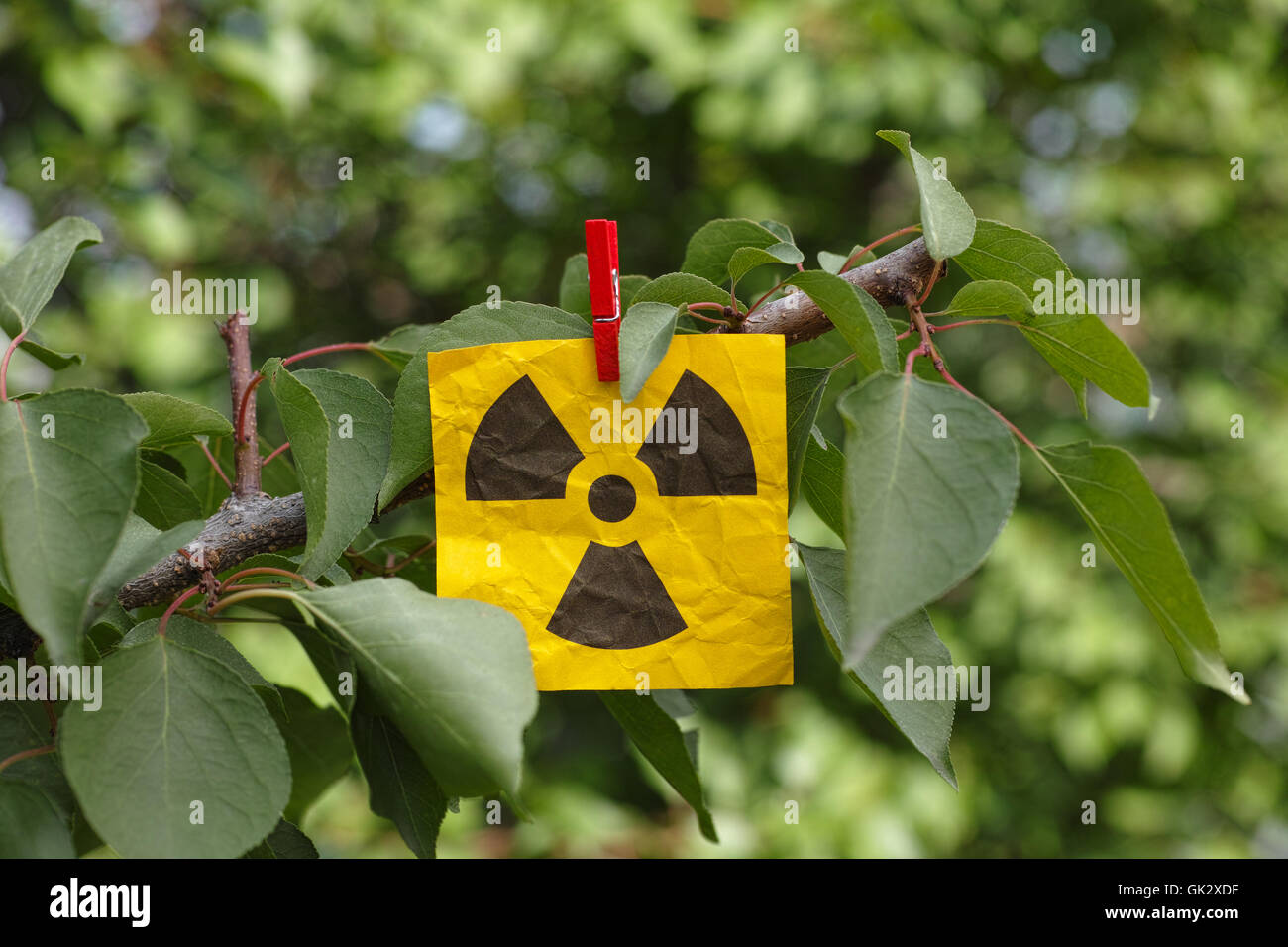 Radiation warning sign hanging on a tree. Close up. Concept image Stock ...