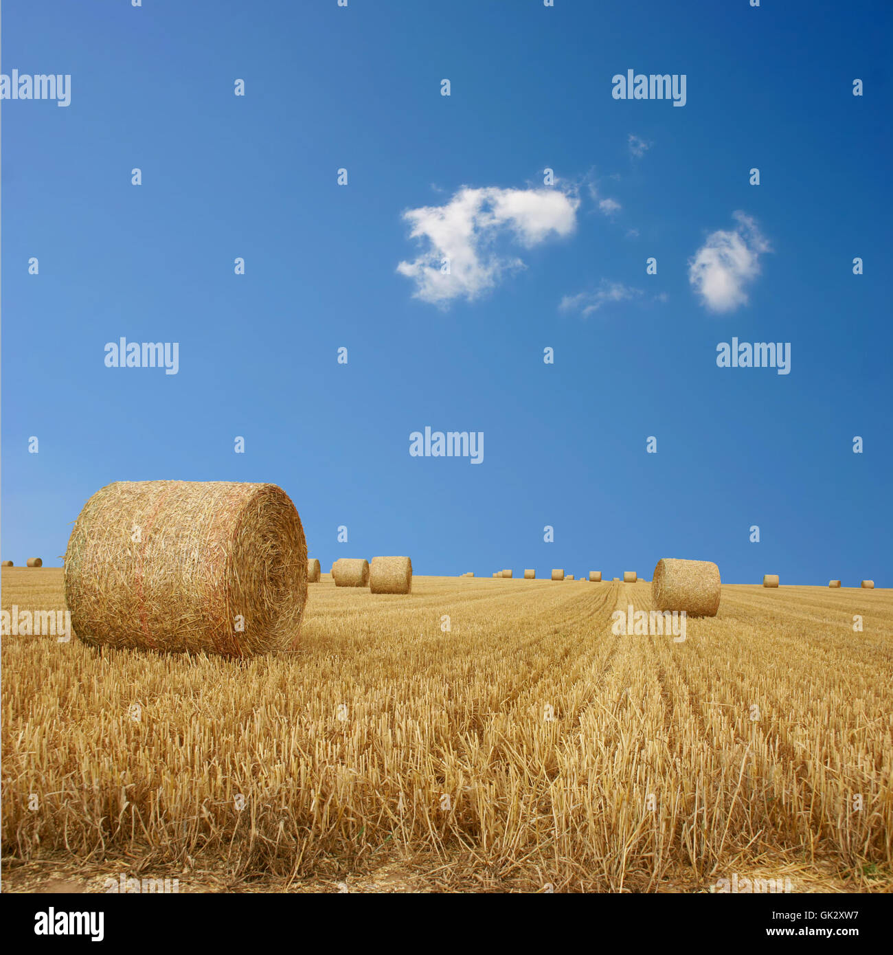 harvest bail agricultural Stock Photo - Alamy