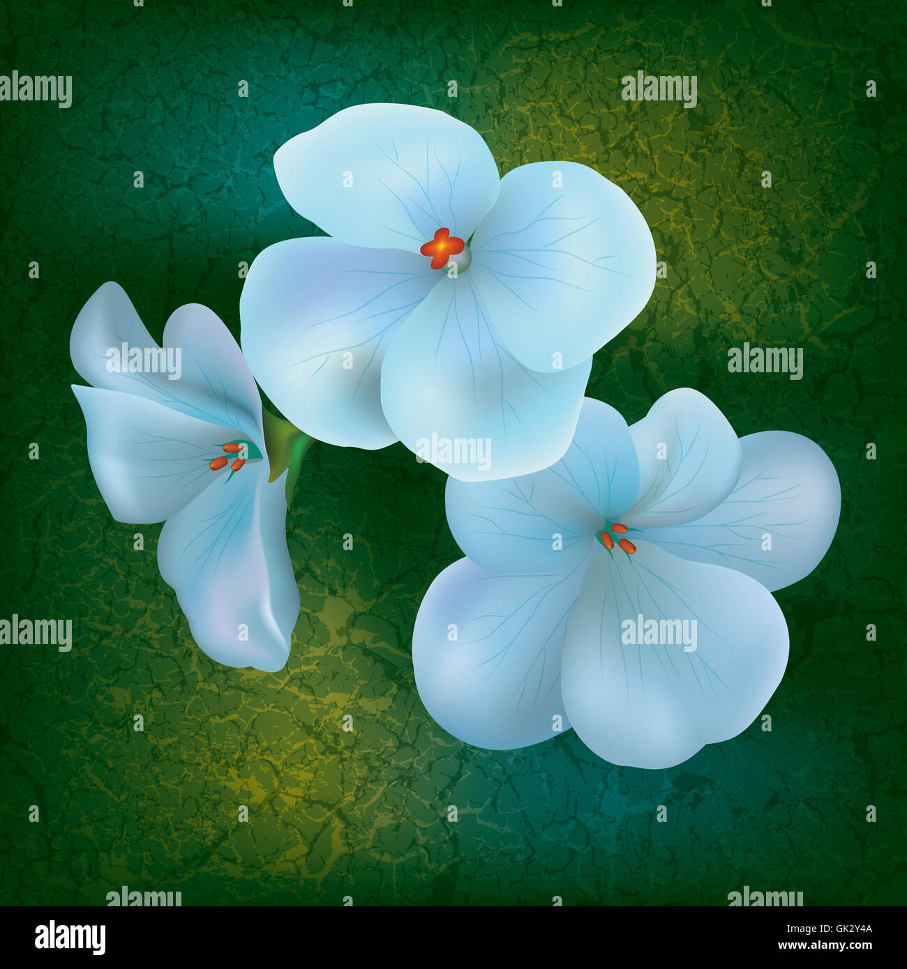 leaf flower plant Stock Photo - Alamy