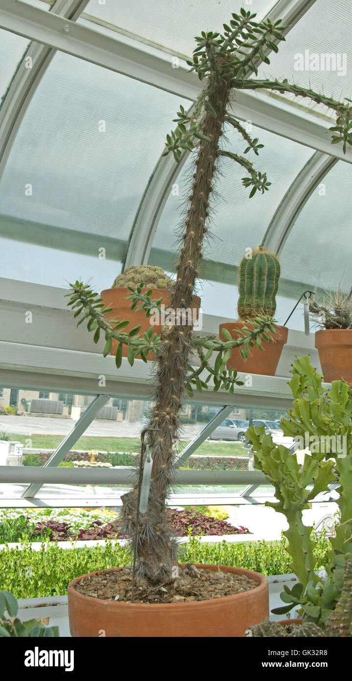 Quia hi-res stock photography and images - Alamy