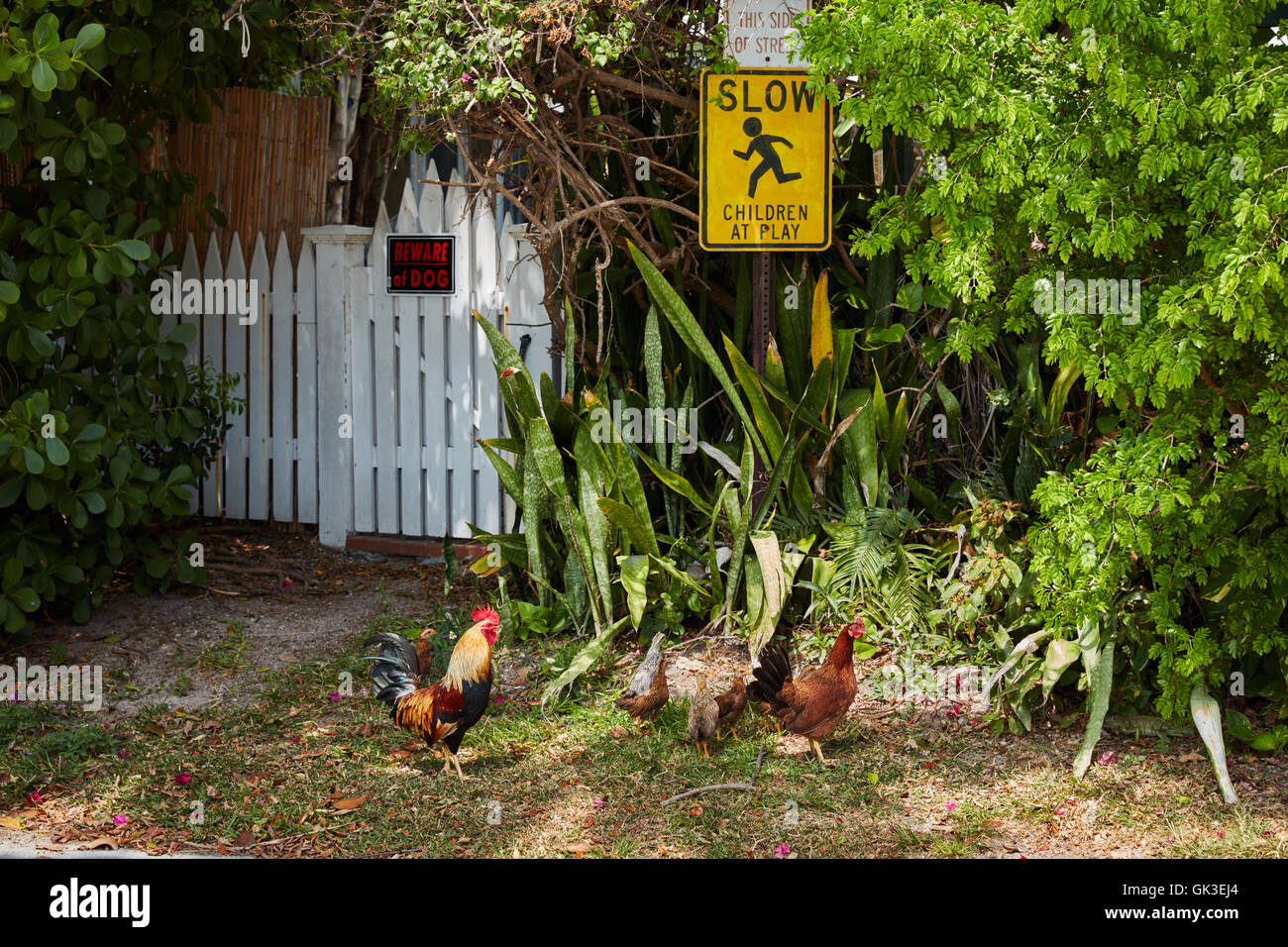 Key West Florida Signs High Resolution Stock Photography and Images - Alamy