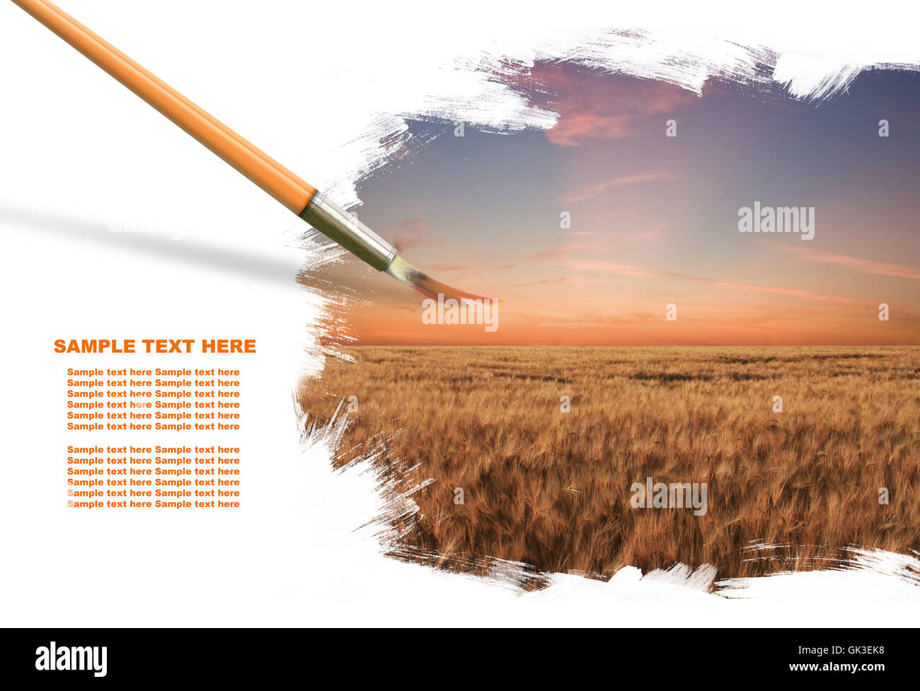 colour field summer Stock Photo - Alamy