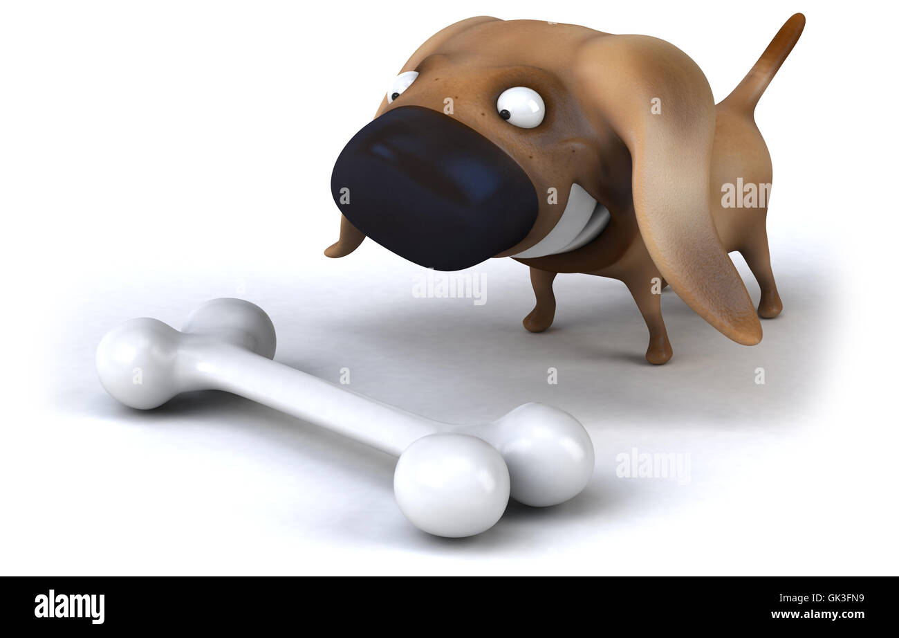 Pet pets hi-res stock photography and images - Alamy