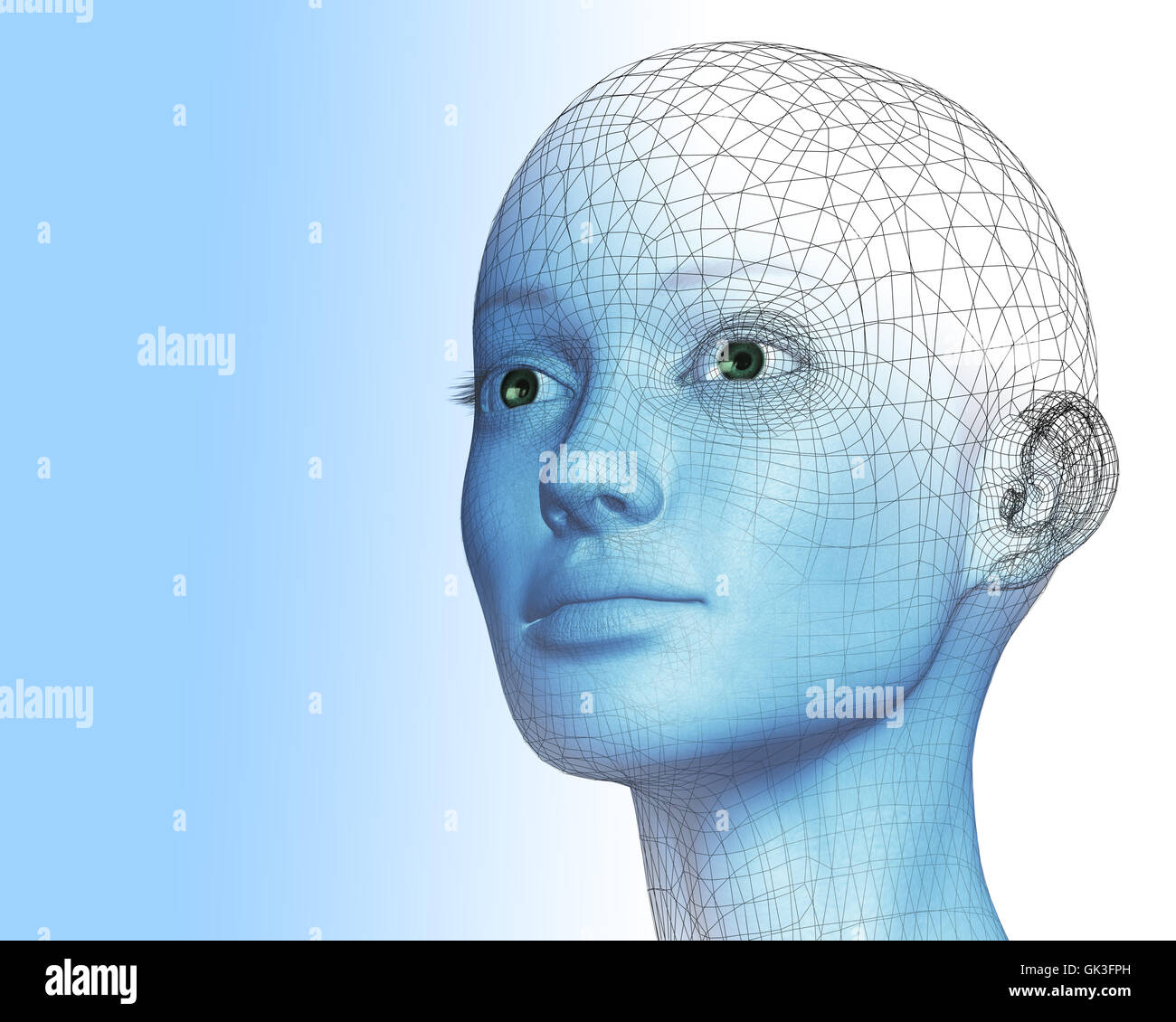 3d wireframe human female hi-res stock photography and images - Alamy