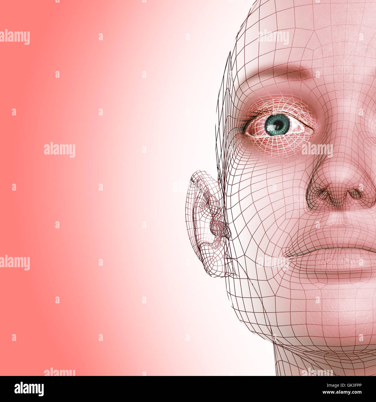 3d wireframe human female hi-res stock photography and images - Alamy