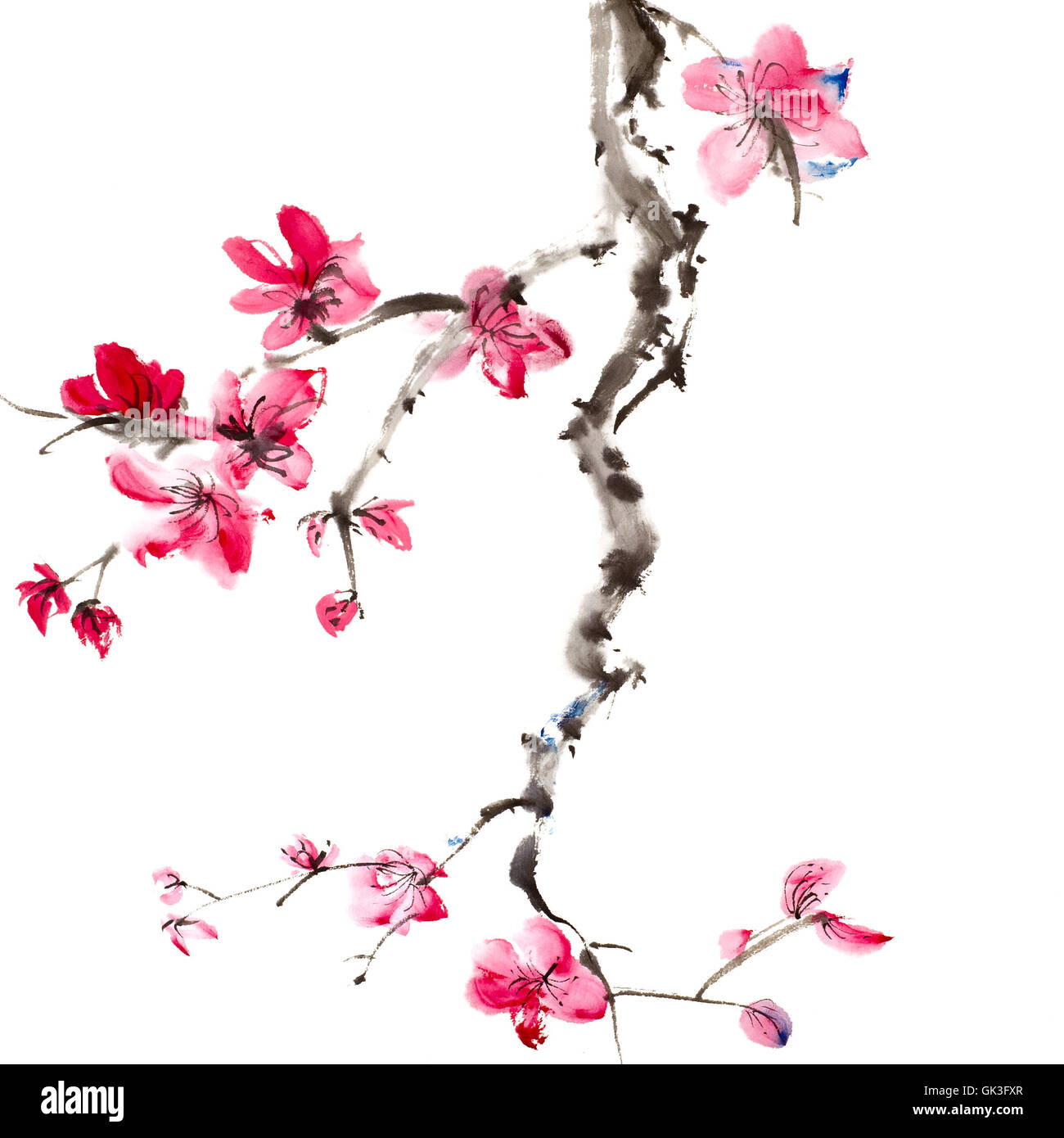 culture flower plant Stock Photo - Alamy