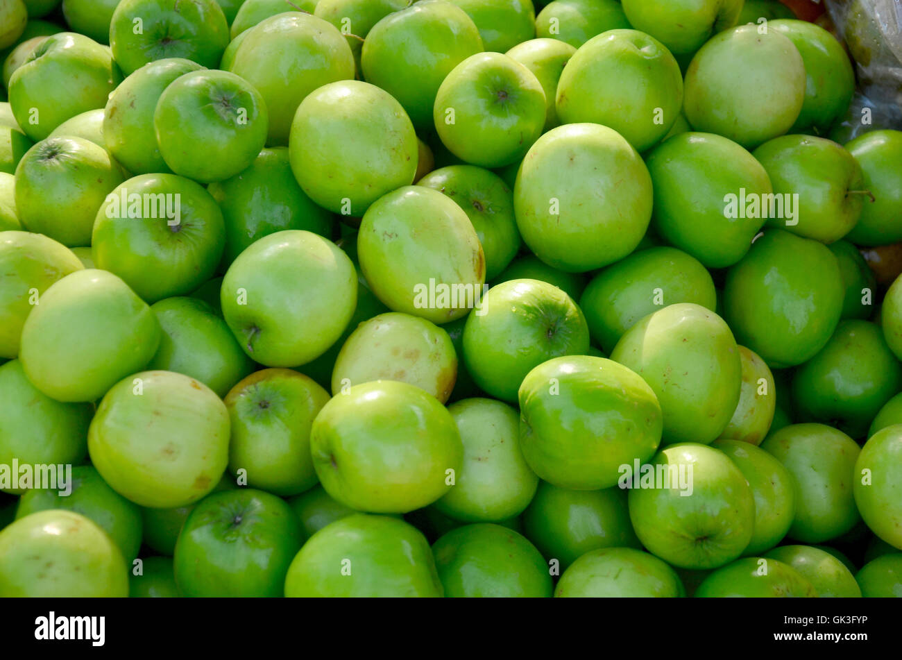 Zizyphus mauritiana Lamk fruit or monkey apple fruits for sale at local ...