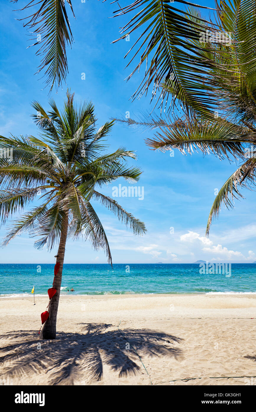 Vietnam so dai hi-res stock photography and images - Alamy