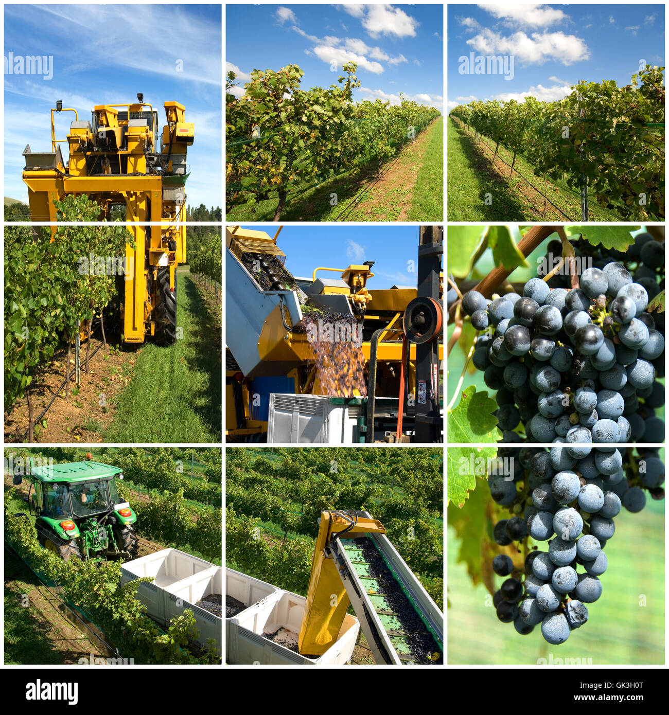 pick blue agricultural Stock Photo - Alamy