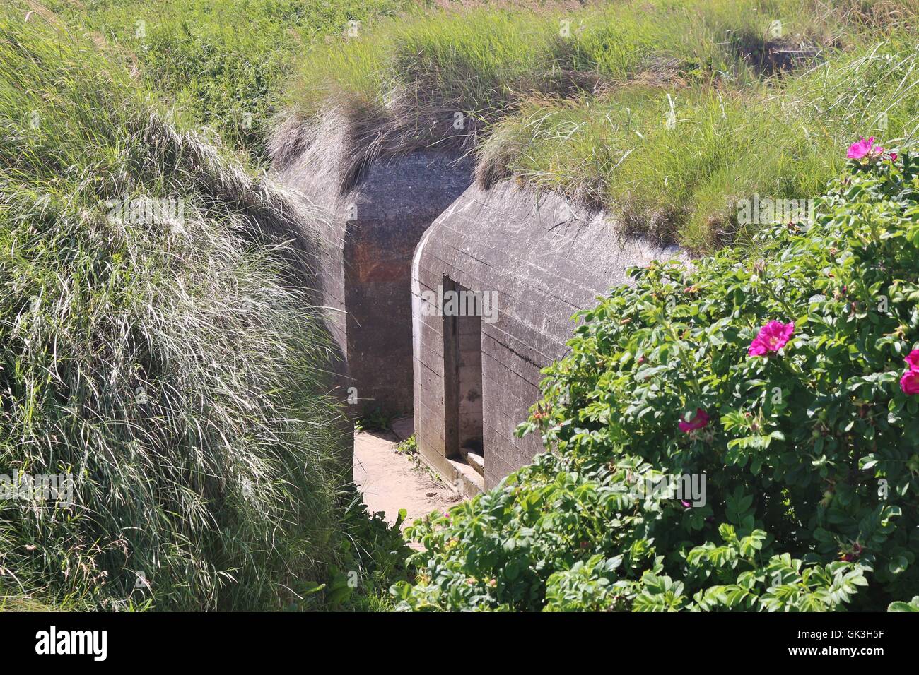 Second World War German Bunkers High Resolution Stock Photography and ...
