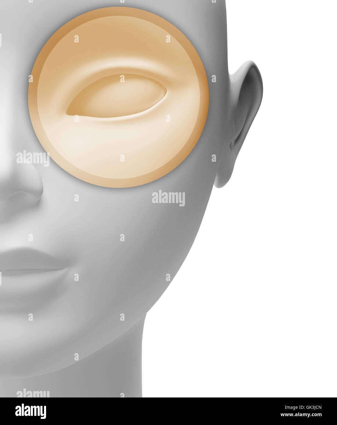 eye organ look Stock Photo - Alamy