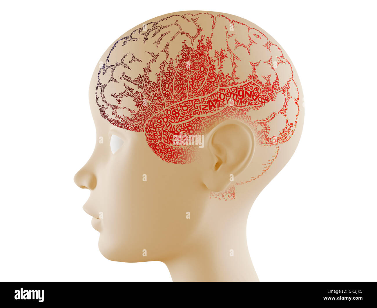 brain intelligence mental Stock Photo - Alamy