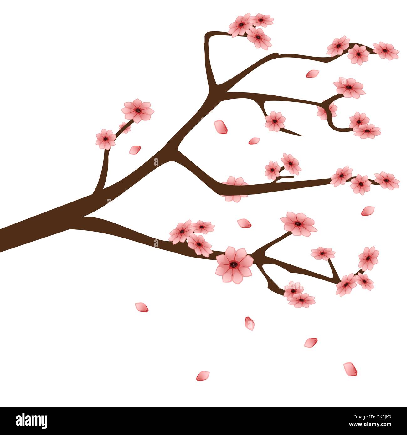 blossoms spring branch Stock Photo - Alamy