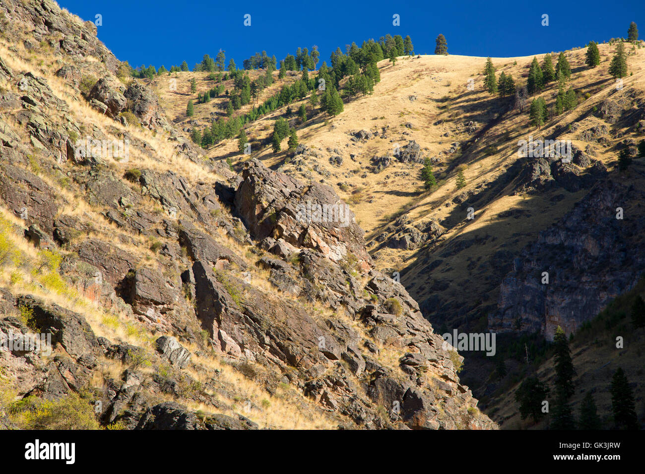 Canyon along Kinney Creek Trail, Hells Canyon Seven Devils Scenic Area ...