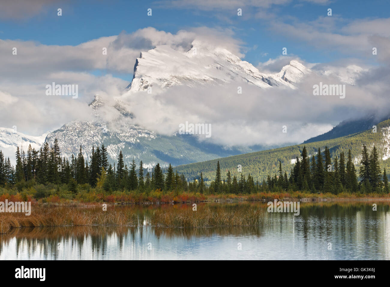 travel tree trees Stock Photo - Alamy