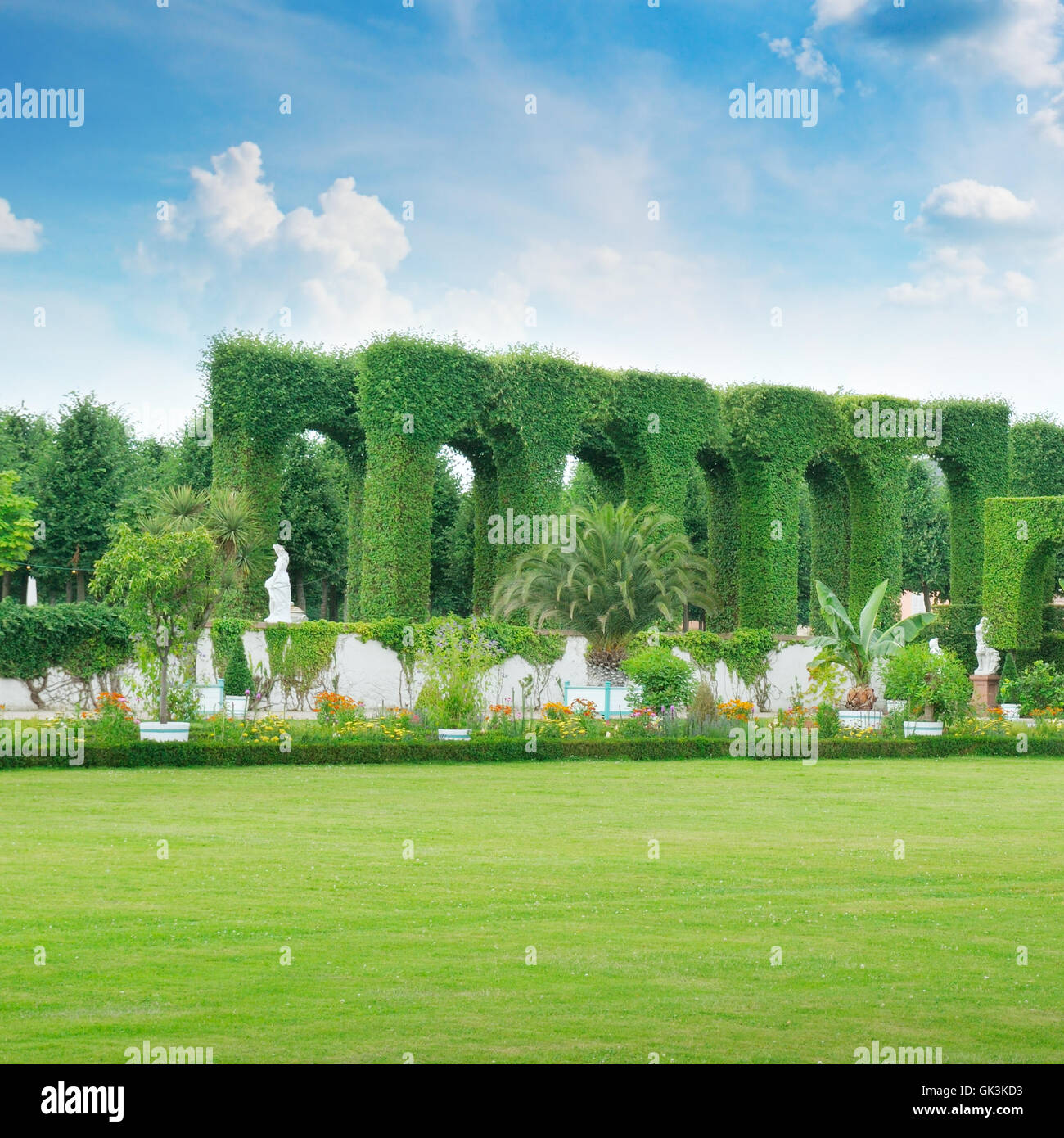 Lawn sky hedge fence hi-res stock photography and images - Alamy